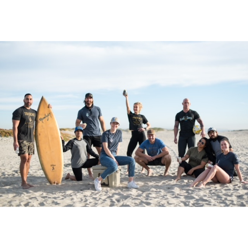 Trident Coffee Dark Roast Organic Nitro Cold Brew 12oz Can : Drinks ...