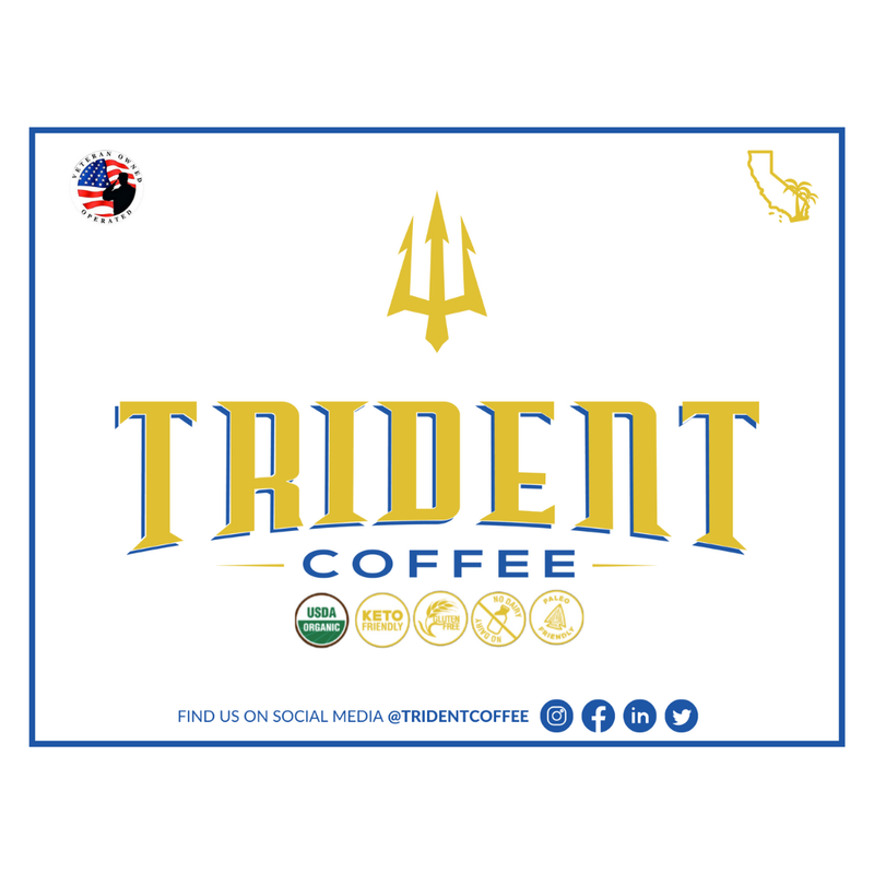 Trident Coffee Dark Roast Organic Nitro Cold Brew 12oz Can : Drinks fast delivery by App or Online