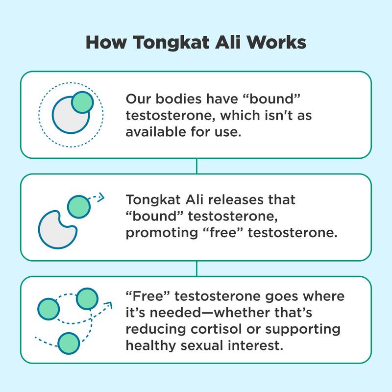 OLLY Mighty Mojo - Delivered In As Fast As 15 Minutes | Gopuff