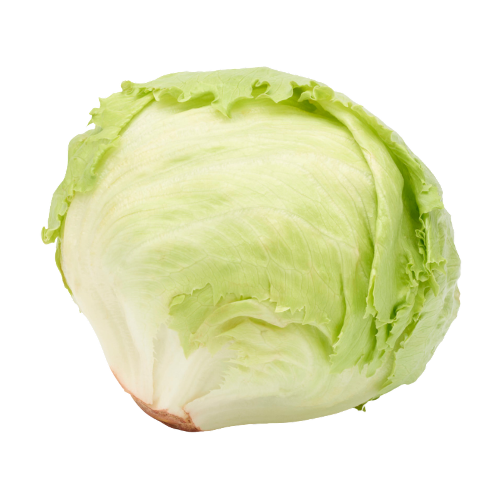 Iceberg Lettuce, 1pcs : Fruit & Veg fast delivery by App or Online