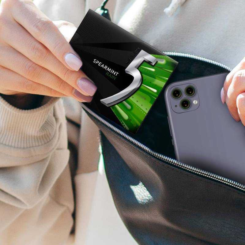 5 GUM Spearmint Rain Sugar Free Chewing Gum case 10 CT - Delivered In ...